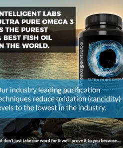 Pure Omega 3 Fish Oil Supplement - Intelligent Labs
