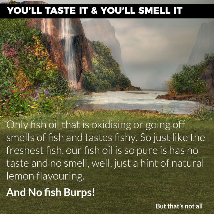 Pure Omega 3 Fish Oil Supplement - Intelligent Labs