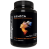 Pure Omega 3 Fish Oil Supplement - Intelligent Labs