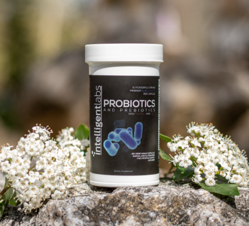 50 Billion CFU 10 Strain Probiotics - Intelligent Labs