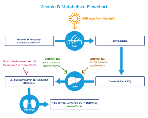 What Causes Low Vitamin D Levels? - Intelligent Labs